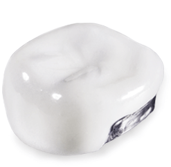 Order Pediatric Crowns | Cheng Crowns